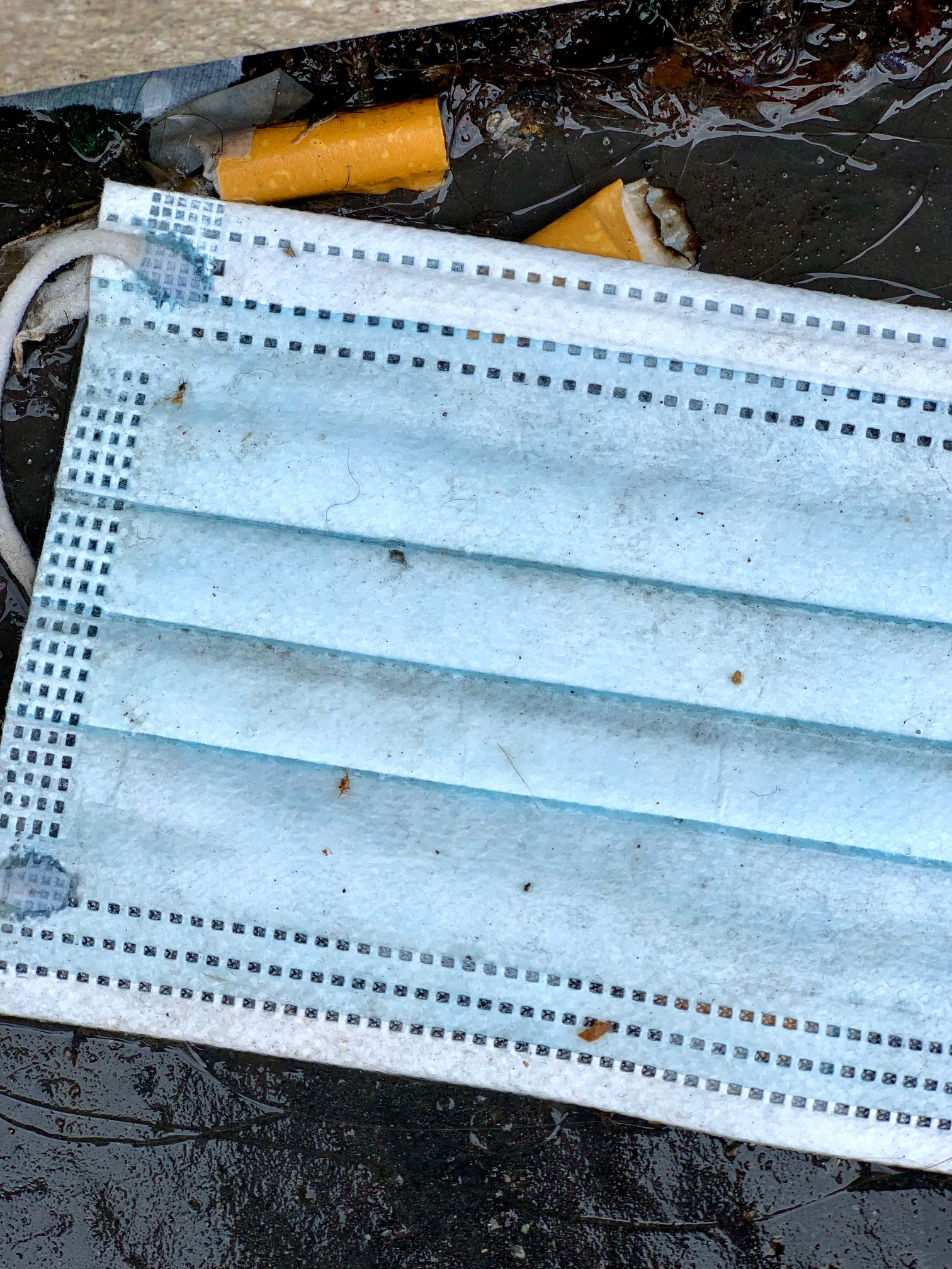 “FOR SALE: Once-Wet Masks. Two for a BUCK!!” – Great Exudations